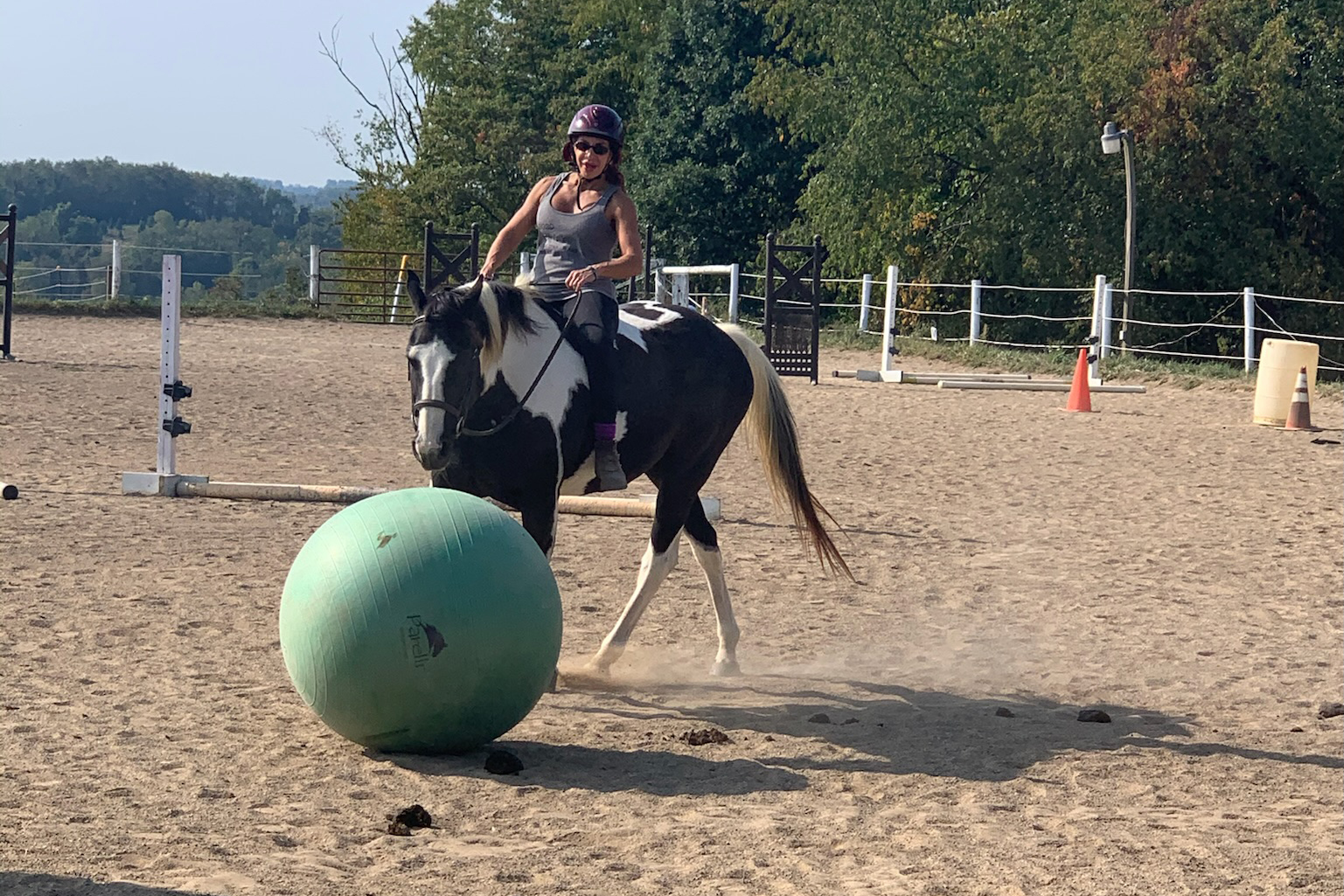 Riding Lessons - Horse N Soul