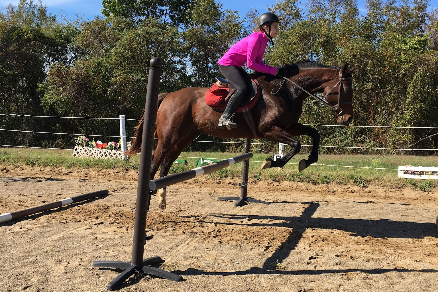 Riding Lessons - Horse N Soul